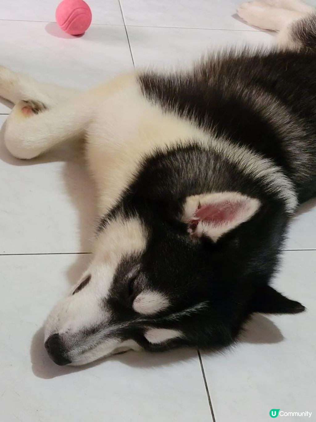 玩到攰到瞓着咗😂 | U Lifestyle - 香港優惠及生活資訊平台