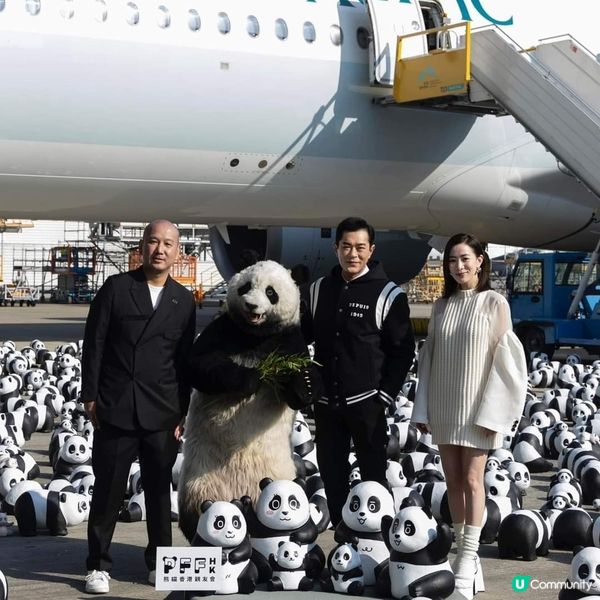 《PANDA GO!香港遊》——公眾展覽 | U Community 社群平台