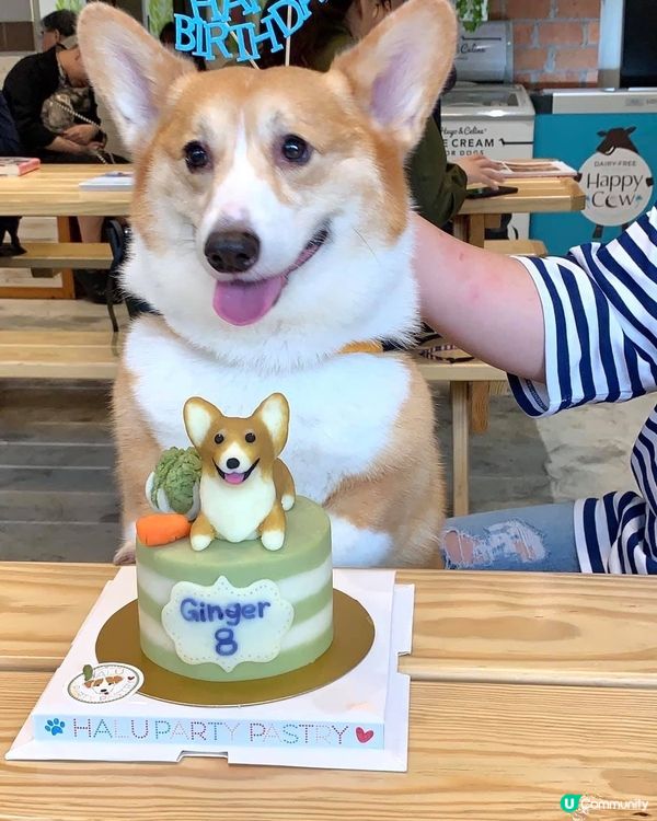 我叫Mr. Ginger , 中文叫 「金正薑」, 因為我住過韓國和食過韓牛 🤪 我而家住喺香港南區！