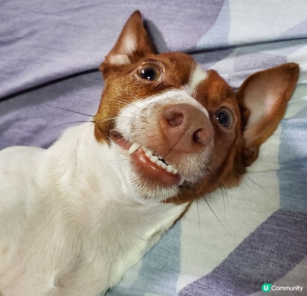 one...two...three.....smile...... | U Lifestyle - 香港優惠及生活資訊平台