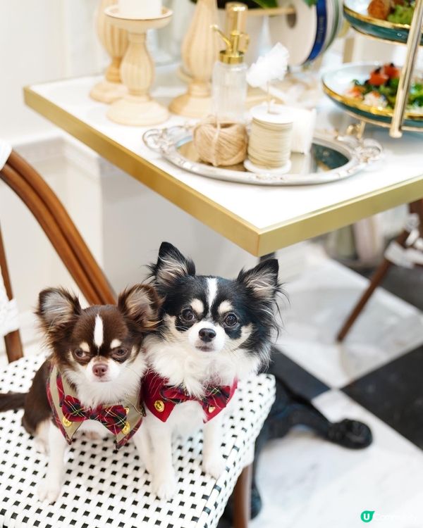 Chamily in Paris🇫🇷 | U Community 社群平台