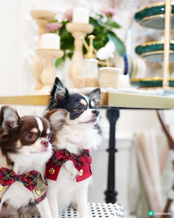 Chamily in Paris🇫🇷 | U Community 社群平台