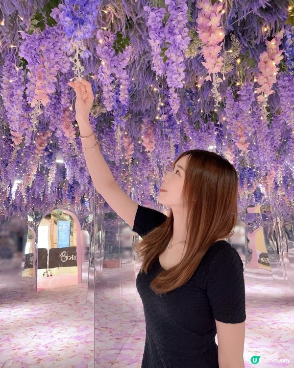 Mikiki X Plantica花漾之旅🪻 | U Community 社群平台