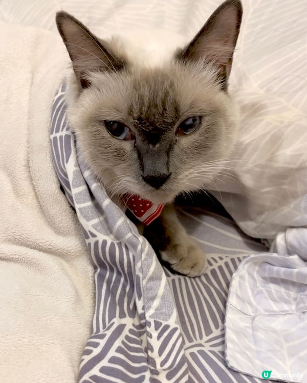 好享受 | U Lifestyle - 香港優惠及生活資訊平台