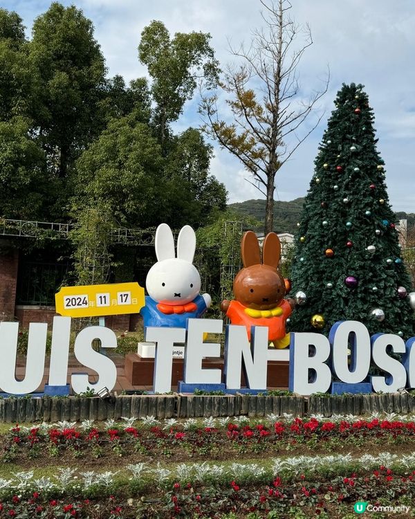 Miffy | U Community 社群平台