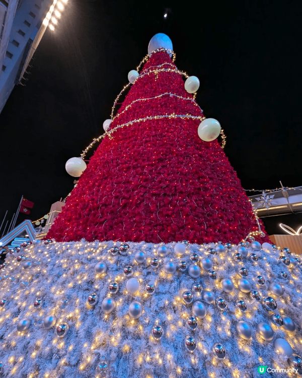 Christmas Tree and the Ginger ... | U Lifestyle - 香港優惠及生活資訊平台