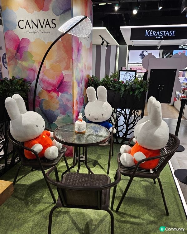 Canvas & Miffy | U Lifestyle - 香港優惠及生活資訊平台