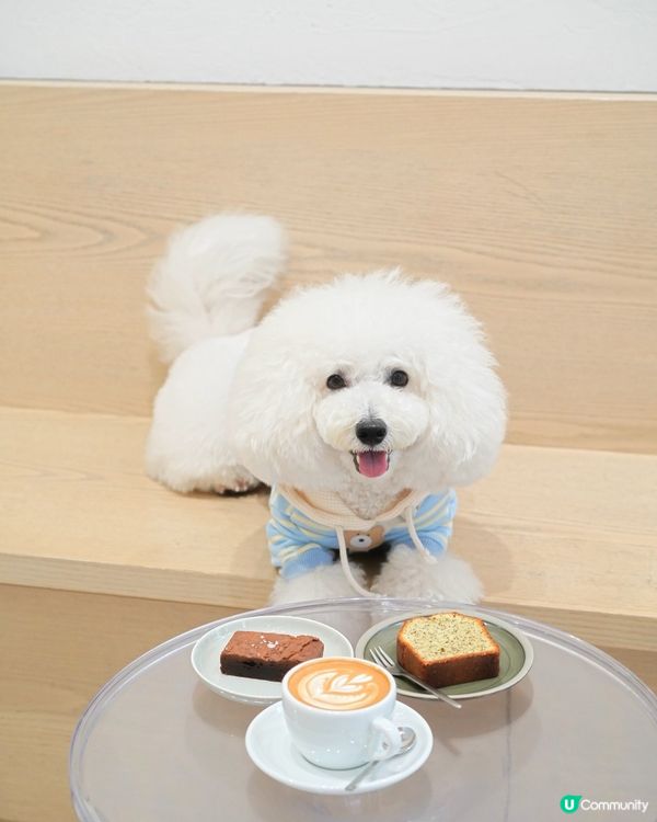 Small but good | U Lifestyle - 香港優惠及生活資訊平台