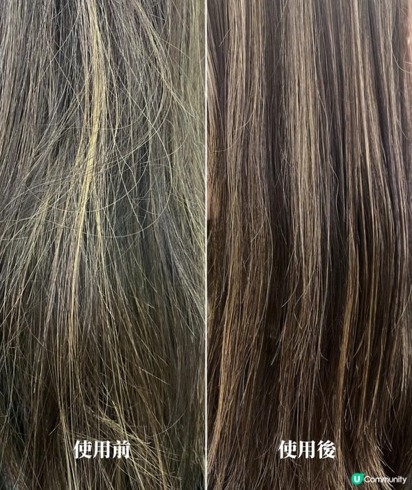 「敏感頭皮+毛躁髮質實測｜BIOGANIC LAB玫瑰洗護套裝，低調但有效 | U Lifestyle - 香港優惠及生活資訊平台