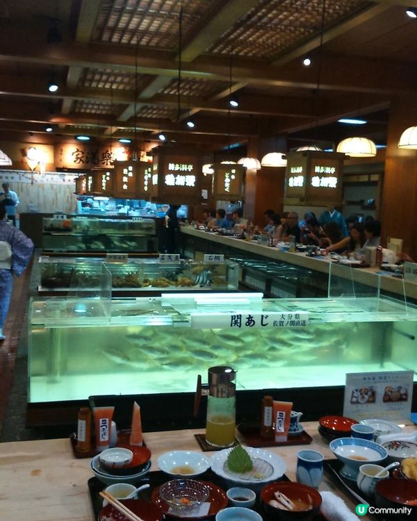 抵食~稚加榮 Chikae （ちかえ）假日特價LUNCH SET