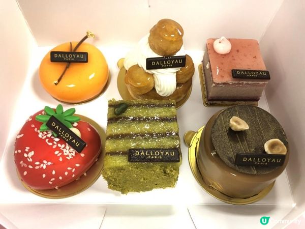 {{DALLOYAU HK}} Petite Cake | U Lifestyle - 香港優惠及生活資訊平台