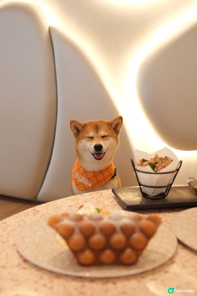 𝑴𝑶𝑶𝑱𝑶𝑶🧡